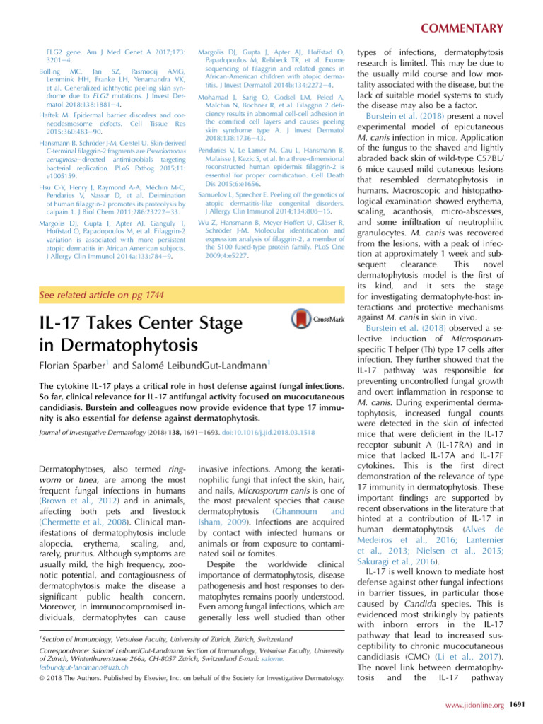 IL 17 DERMATOFITA | Download Free PDF | T Helper Cell | Immune System