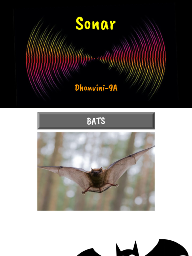 Dhanvini 9A Sonar | PDF | Sonar | Classical Mechanics