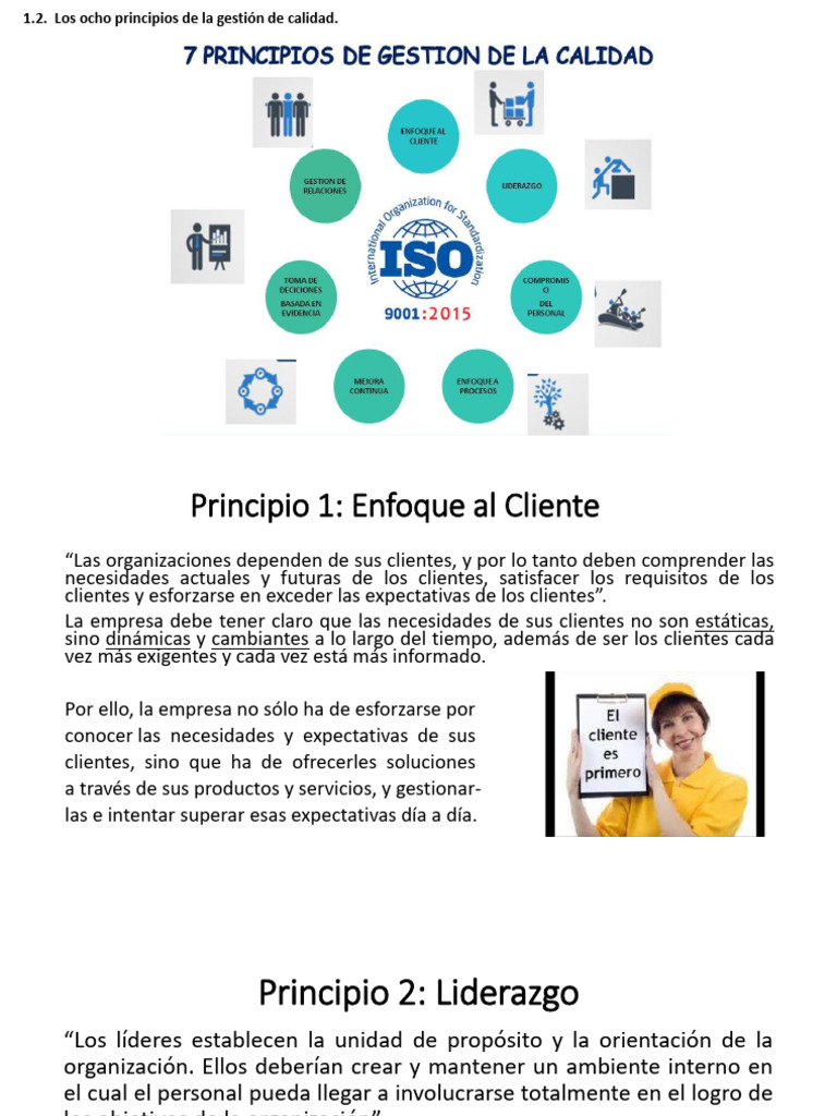 Principios de Gestion de Calidad | PDF | Gestión de la calidad | Sistema de manejo de calidad
