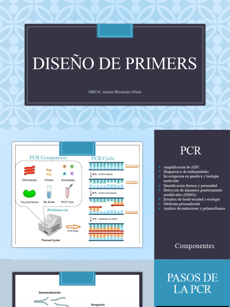 Primers | PDF