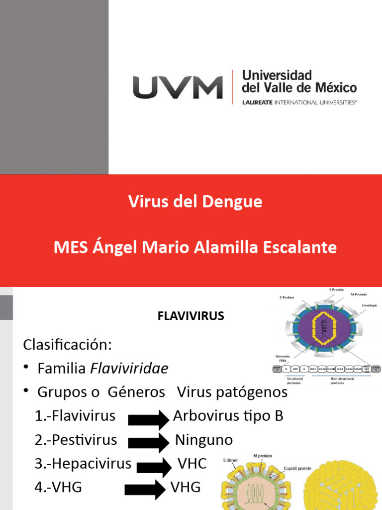 Virus Del Dengue | PDF | Virus | Medicina
