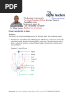 Ploidy Chart Class 12 Biology | PDF
