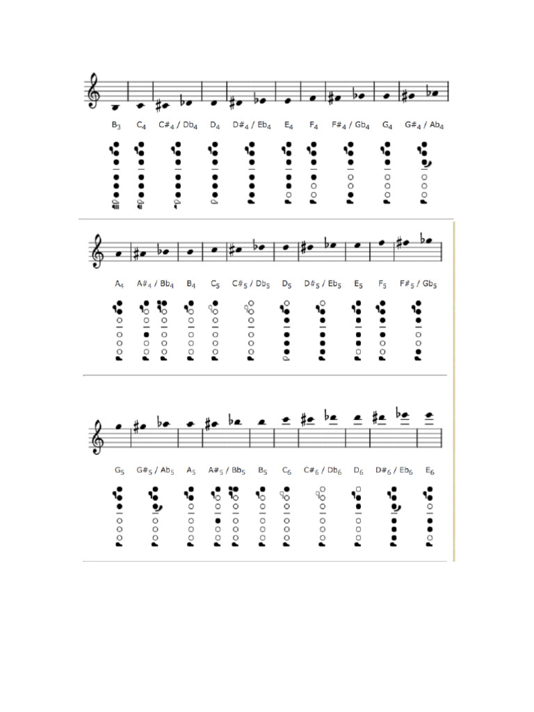 Flute fingering chart | PDF
