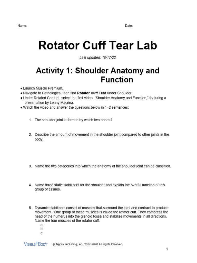 Muscle Premium Lab Rotator Cuff | PDF | Shoulder | Joints