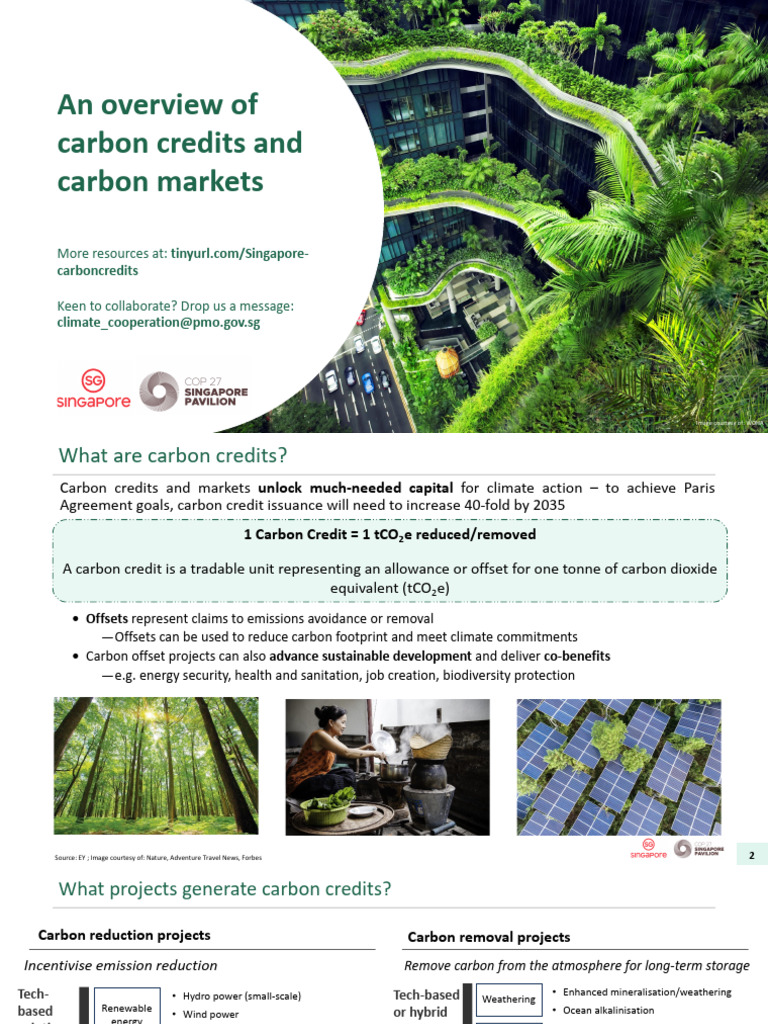 Carbon Credits and Market Overview | PDF | Climate Change Mitigation ...
