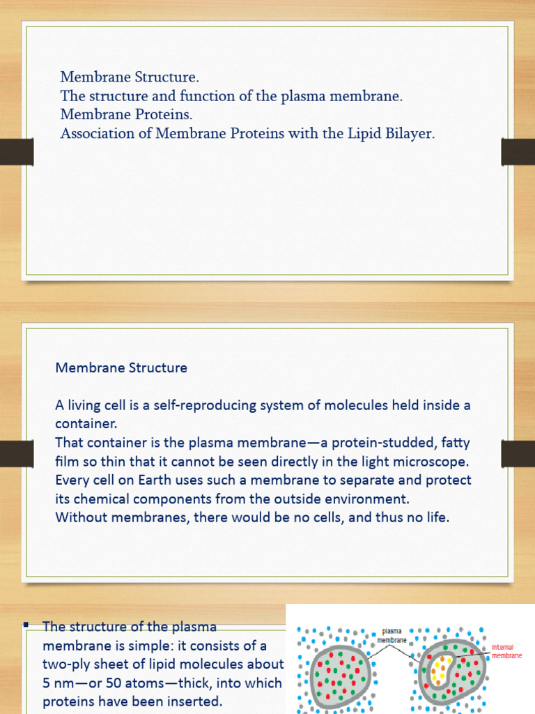 Membrane Structure 1 | PDF | Cell Membrane | Lipid Bilayer