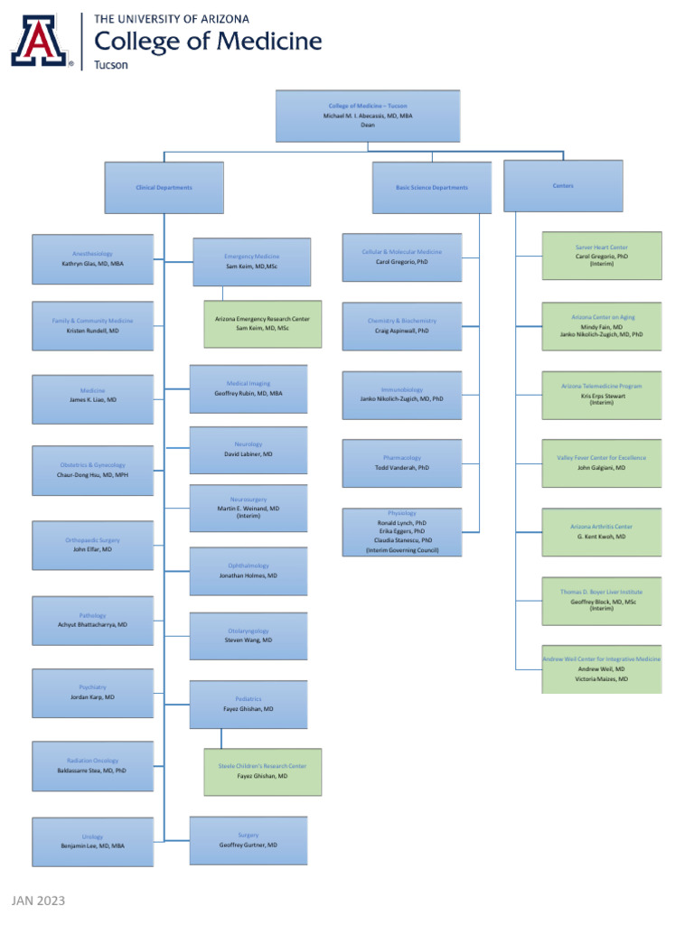 College of Medicine Leadership Organizational Chart 0 | PDF | Doctor Of ...