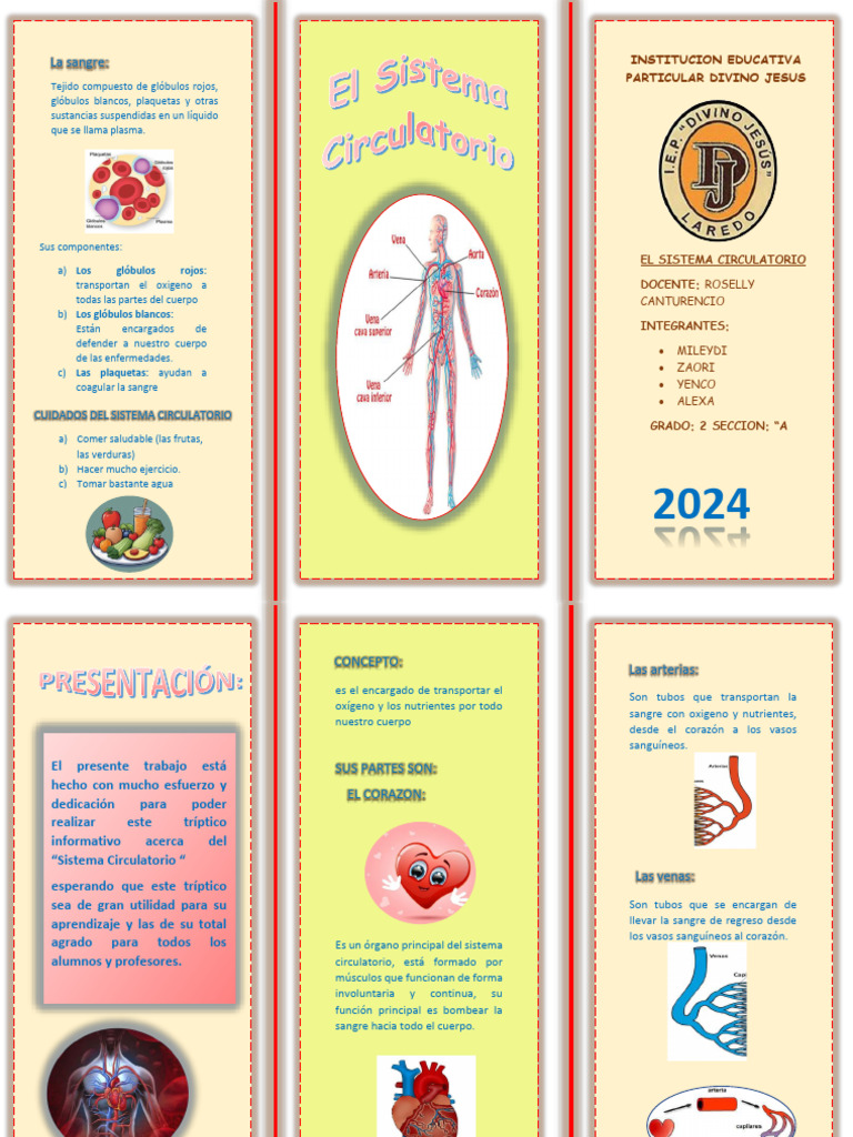 sc2 | Descargar gratis PDF | Sangre | Sistema circulatorio