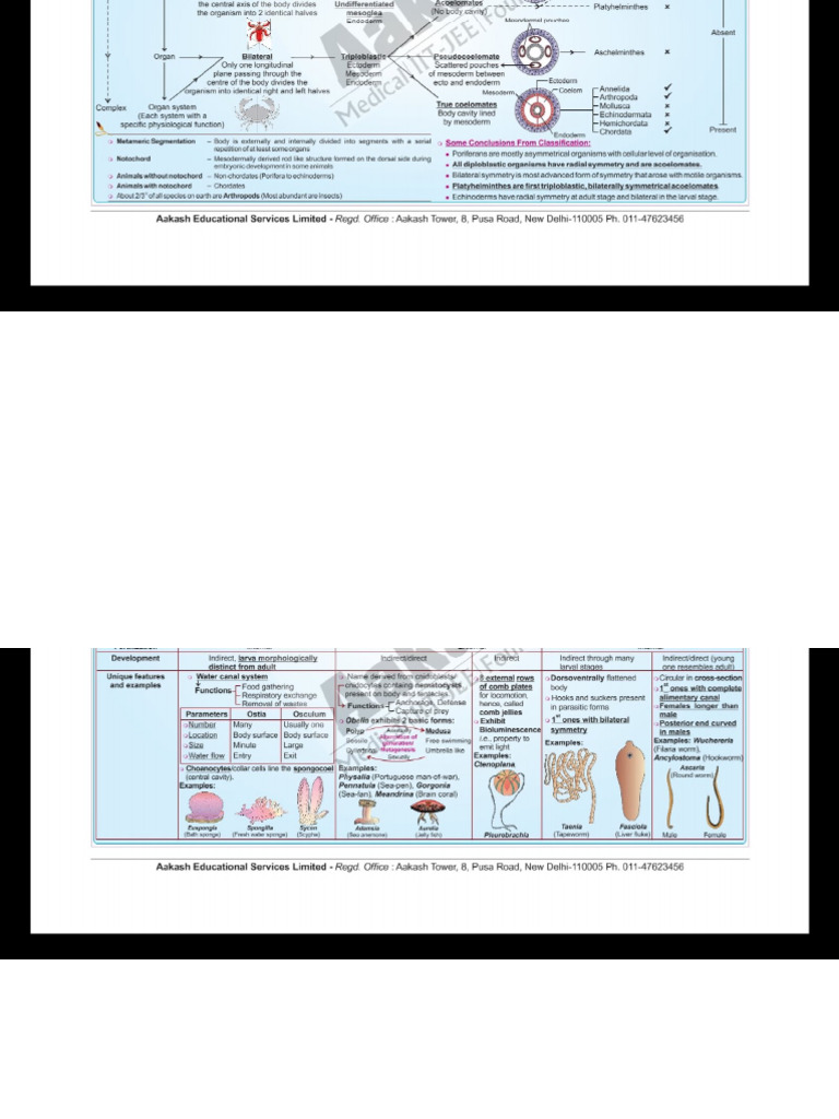Zoology Mind Maps | PDF