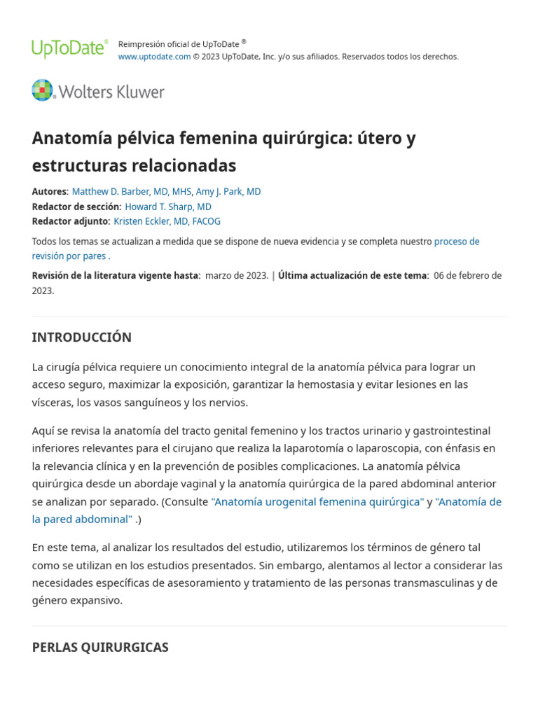 Anatomía Pelvis Uptodate Pdf Intestino Grueso Pelvis