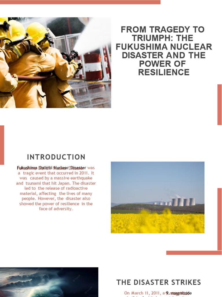 Fukushima | PDF | Fukushima Daiichi Nuclear Power Plant | Seismology