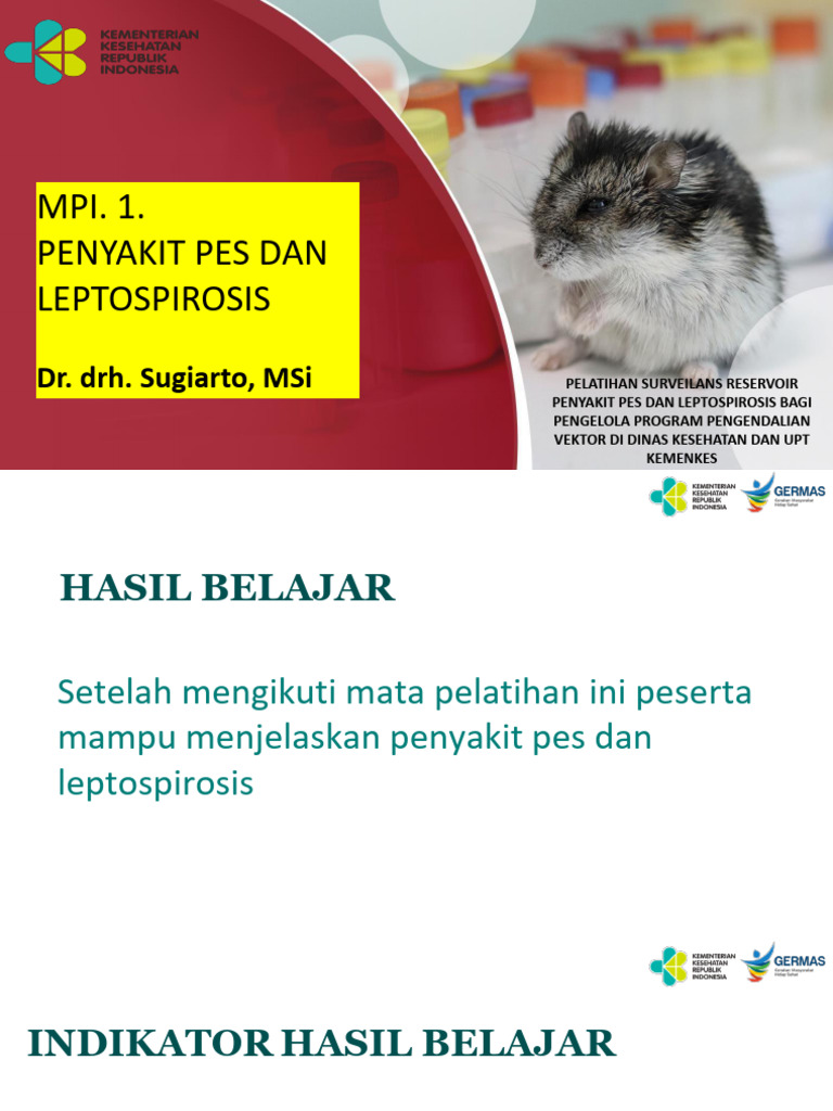 MPI 1.leptospirosis Di Indonesia - SGK | PDF | Rat | Health Sciences