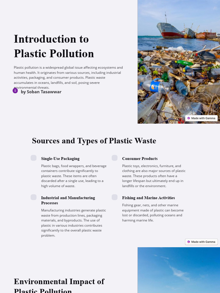 Understanding Plastic Pollution Issues | PDF | Plastic | Waste Management