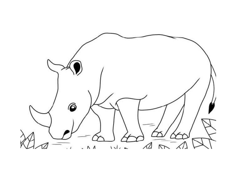 Gambar Banteng | PDF