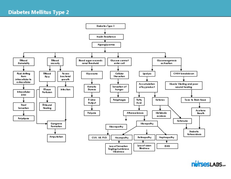 Diabetes Mellitus Type 2 Schematic Diagram | PDF | Diabetes | Physiology