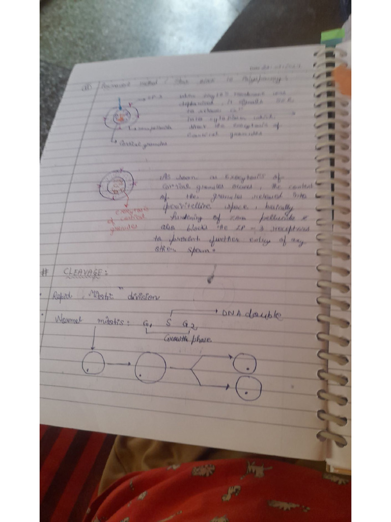 Physics Class 12th | PDF