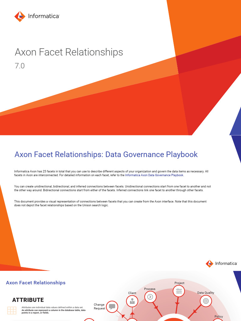 Axon Facet Connections Guide | PDF | Data Quality | Policy