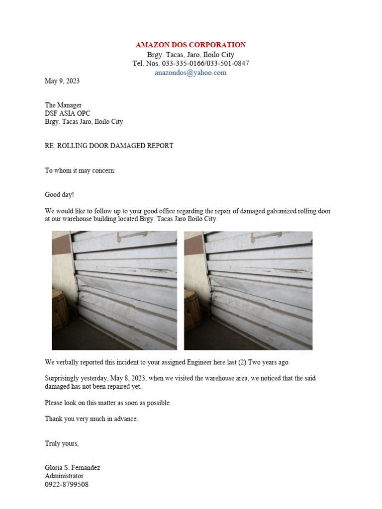 DSF ASIA REPORT LETTER | PDF