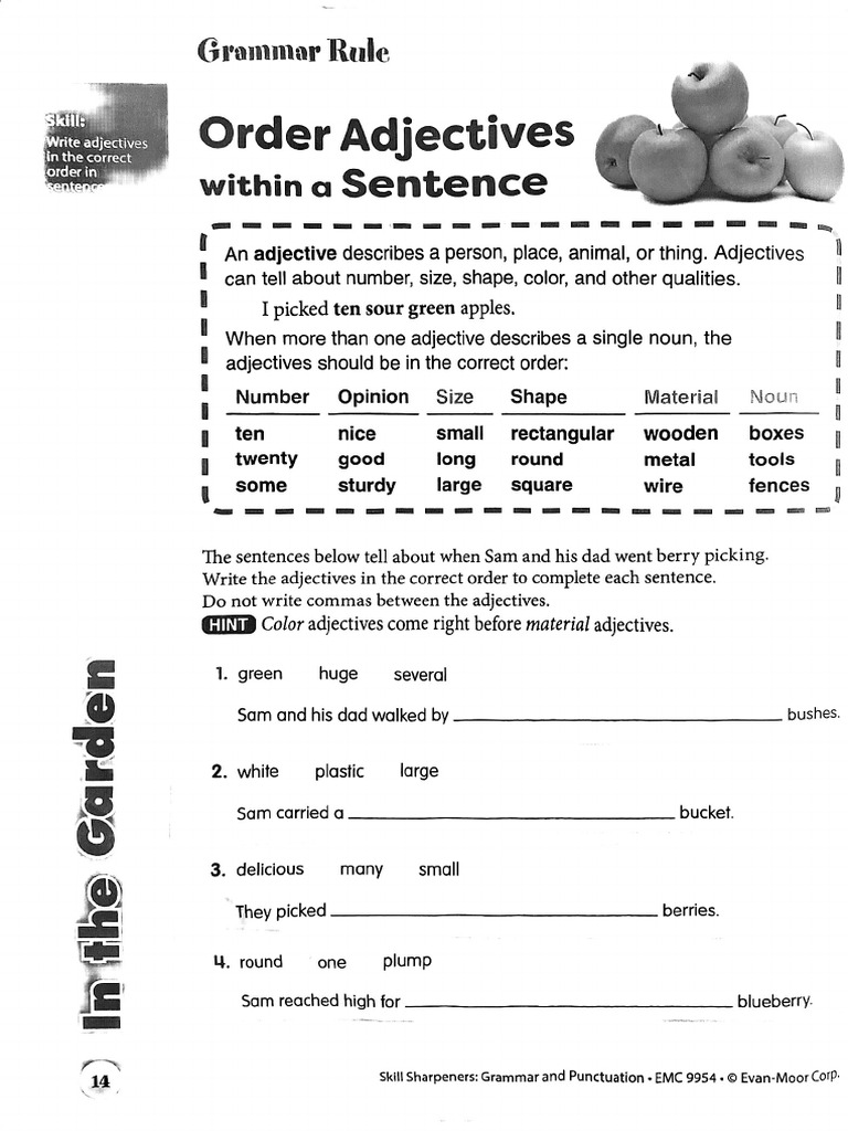 Grammar Adjective Order Exercise | PDF