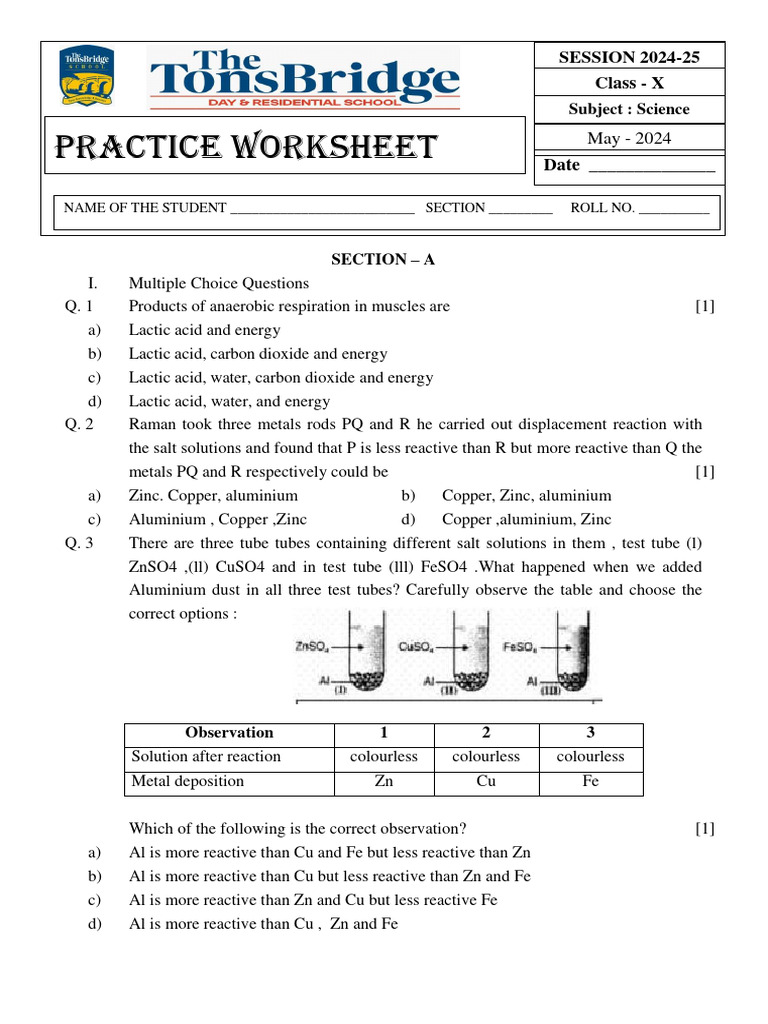 Worksheet Class 10 (3) | PDF | Zinc | Chemistry