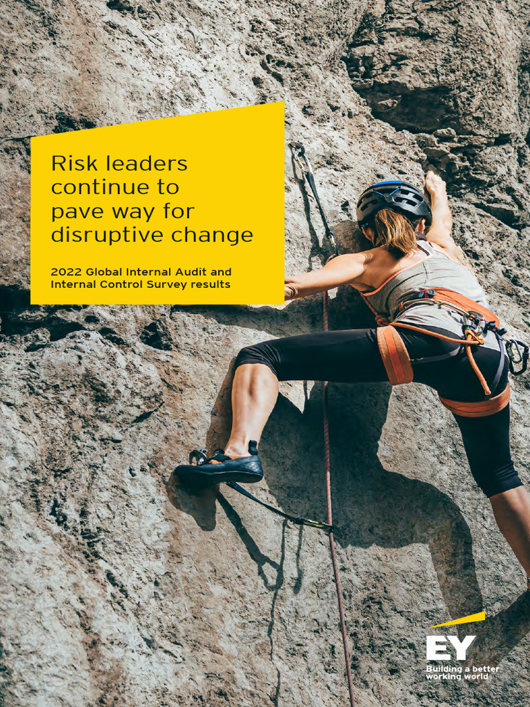 ey-global-internal-audit-and-internal-control-survey-2022 | Download ...