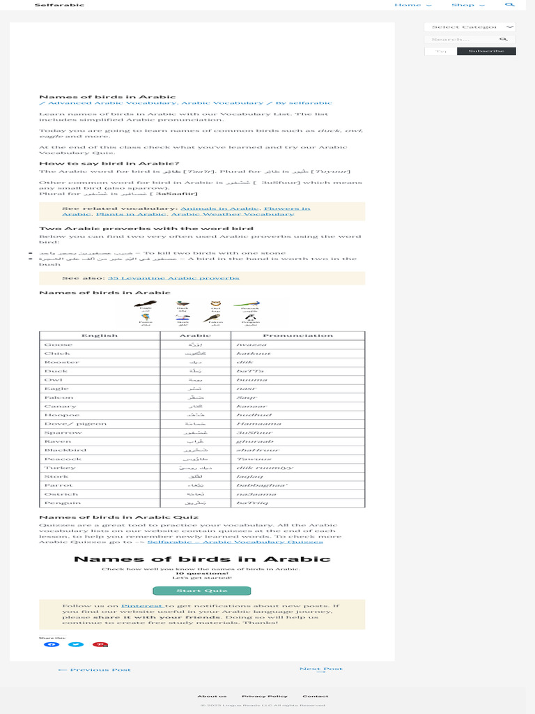 Arabic Bird Names for Learners | PDF | Birds | Arabic