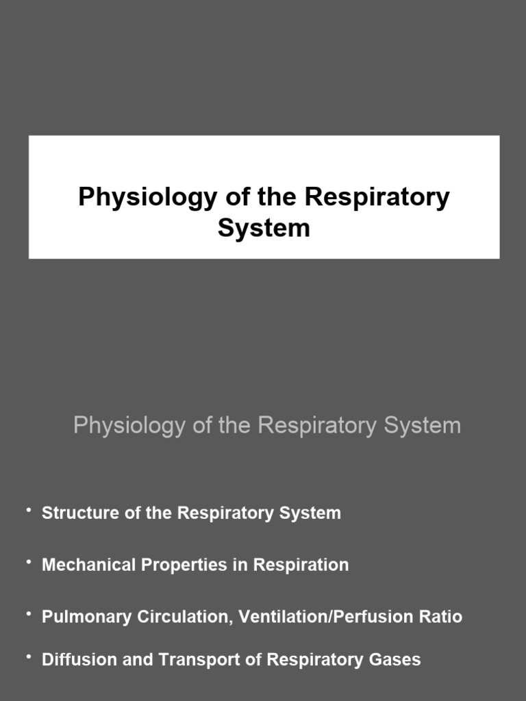Physiology of The Respiratory System | PDF | Respiratory Tract | Respiratory System