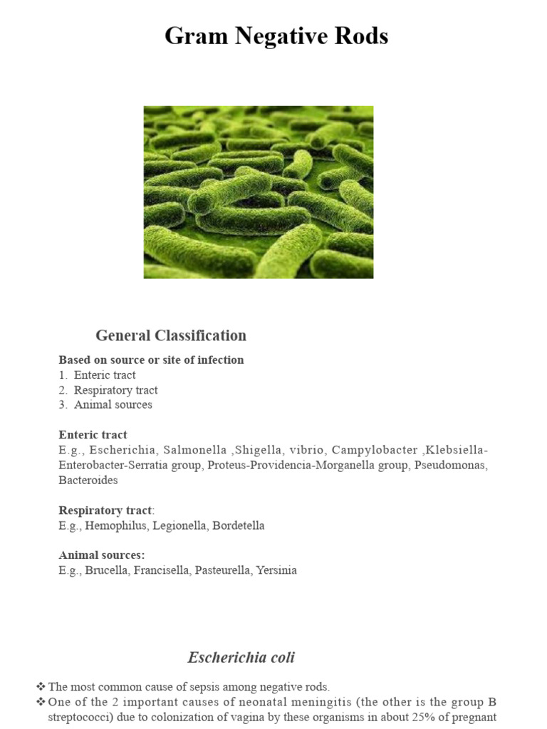 Gram negative rods | Download Free PDF | Urinary Tract Infection ...