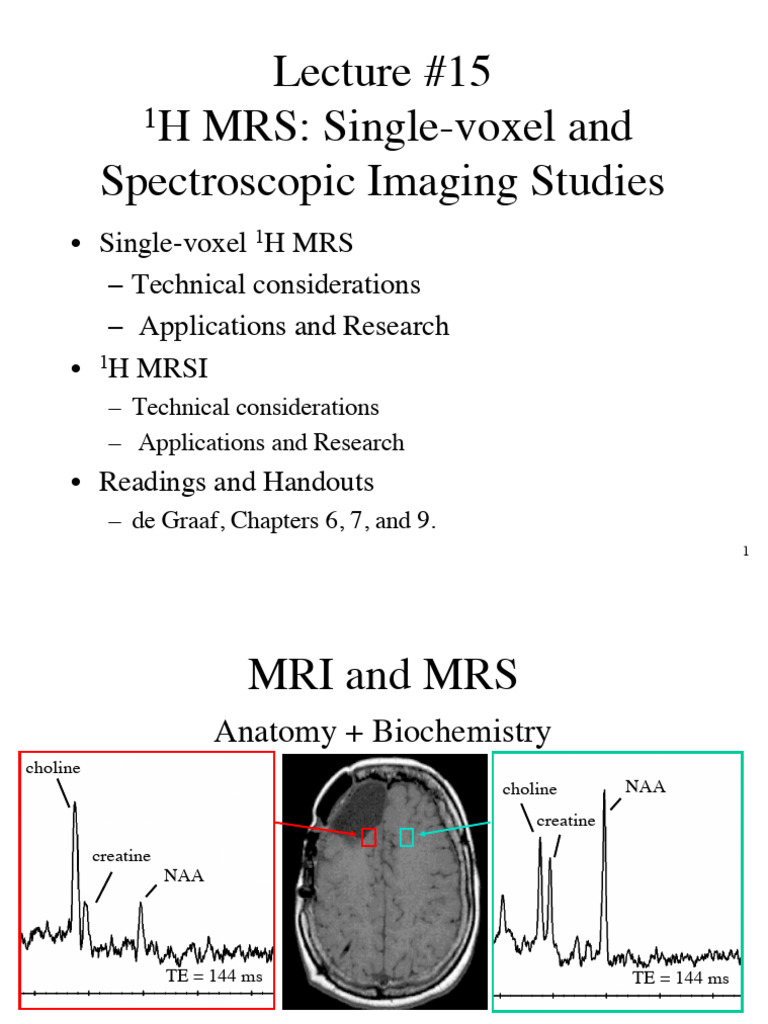 1H MRS Techniques and Applications | PDF | Magnetic Resonance Imaging ...
