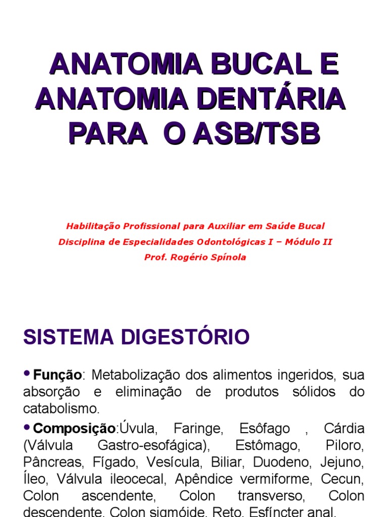 Anatomia Bucal e Dentária: Estruturas e Funções dos Órgãos da Cavidade ...