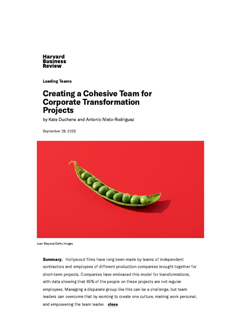 Creating A Cohesive Team For Corporate Transformation Projects | PDF ...