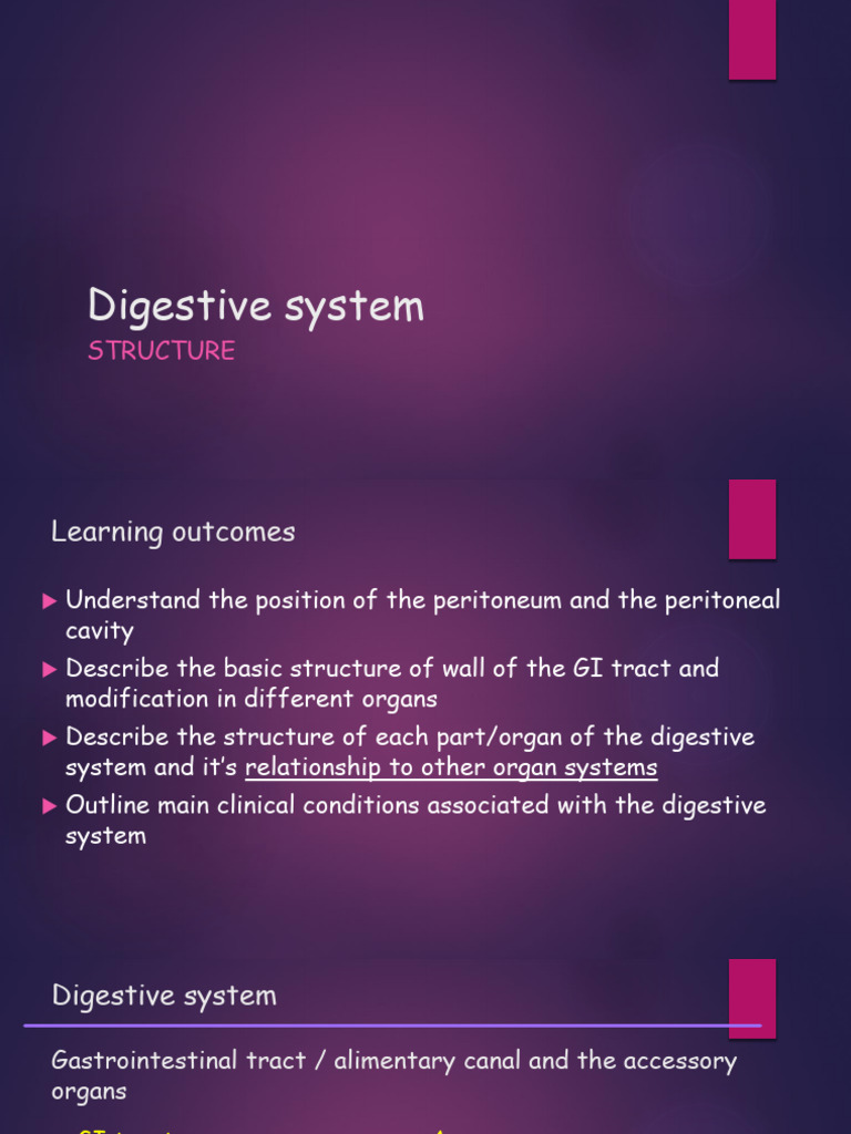 Digestive system_part 1 | PDF | Stomach | Human Digestive System