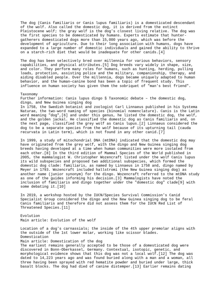 Dog | PDF | Dogs | Canis