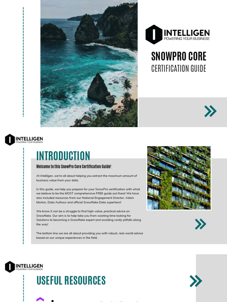 SnowPro Core Study Guide | Download Free PDF | Cloud Computing | Databases