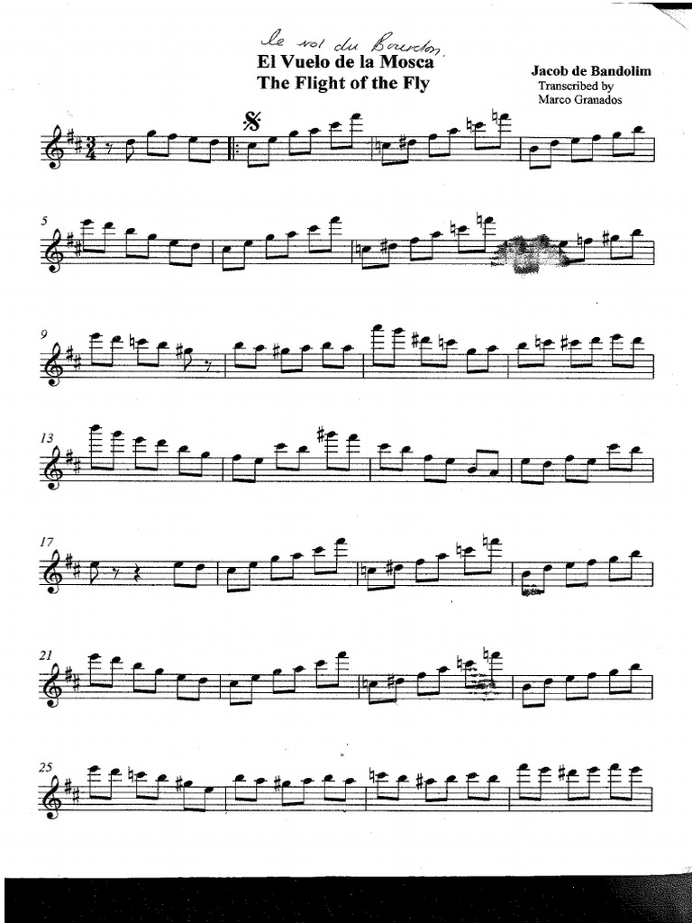 Bandolim - The Flight of The Fly | PDF