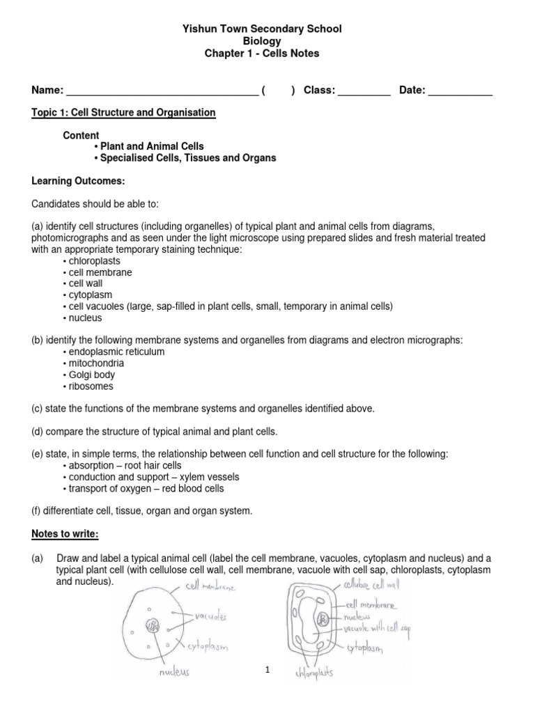 Chap 1 - Cells Notes Ans 2023 | Download Free PDF | Cell (Biology ...