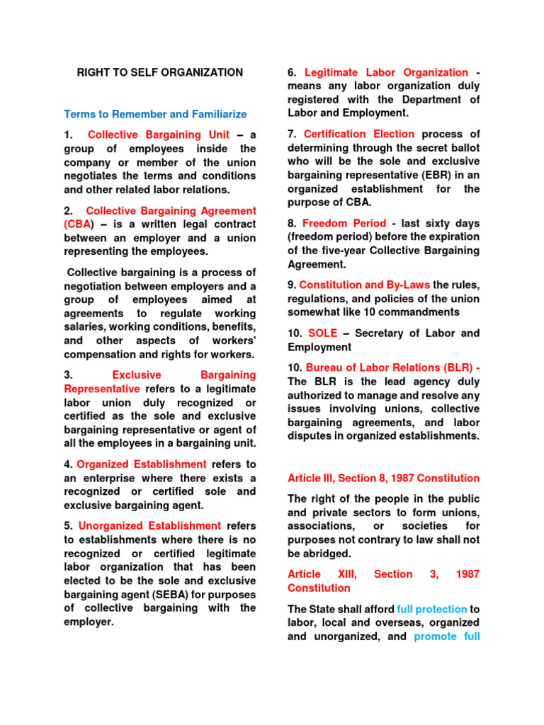 Understanding Workers' Self-Organization | PDF | Strike Action | Employment