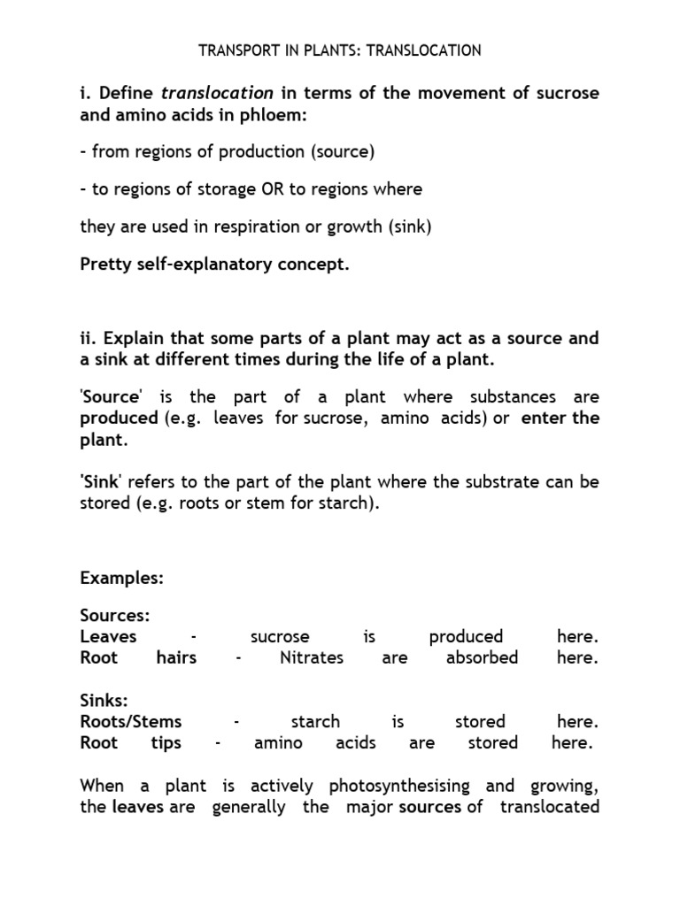TRANSPORT IN PLANTS-TRASLOCATION | Download Free PDF | Plant Stem | Leaf