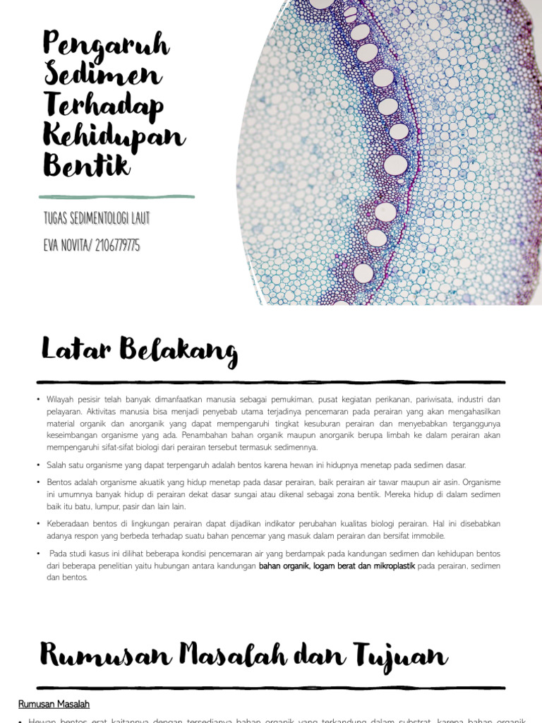Sedimen dan Dampaknya pada Kehidupan Bentik | PDF