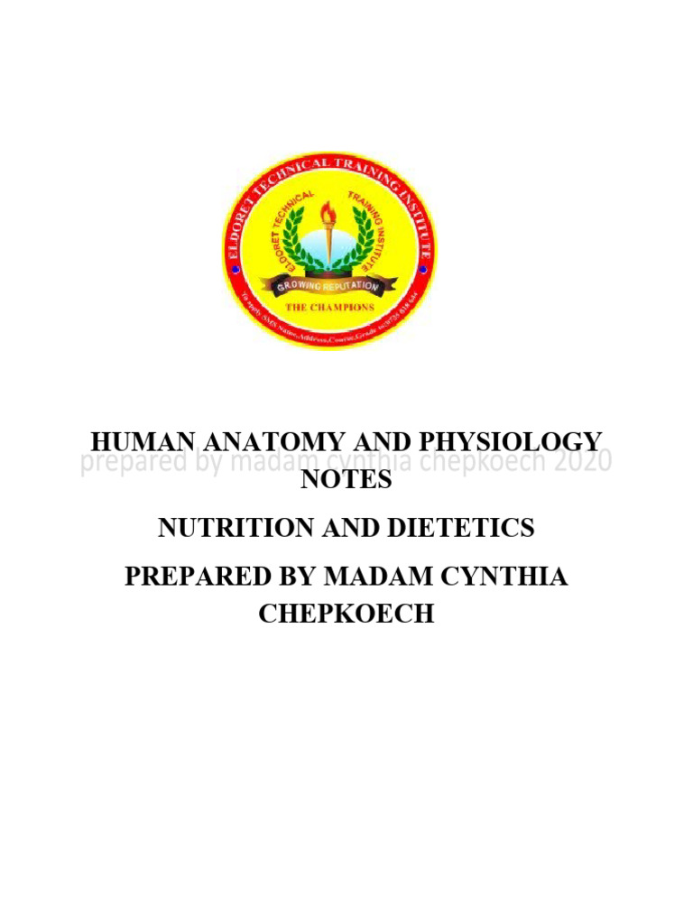 Human Anato Notes | PDF | Vertebra | Cell Nucleus