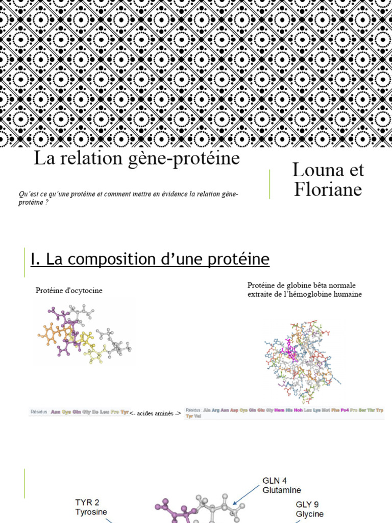 La Relation Gène-Protéine Louna Et Floriane | PDF | Protéines | Gène