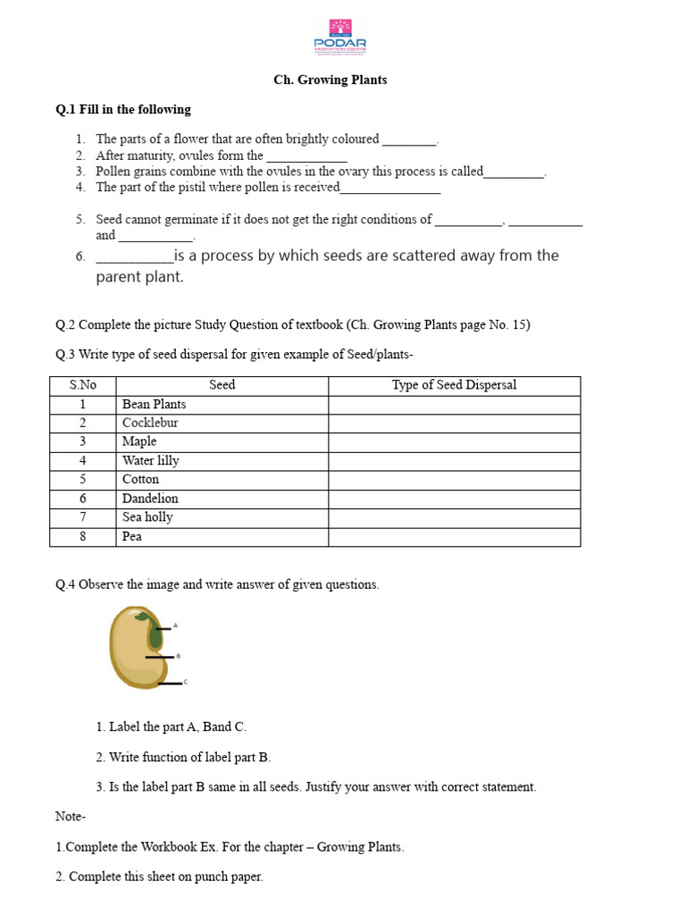 1714205597395.EVS Practice Sheet 1 | PDF