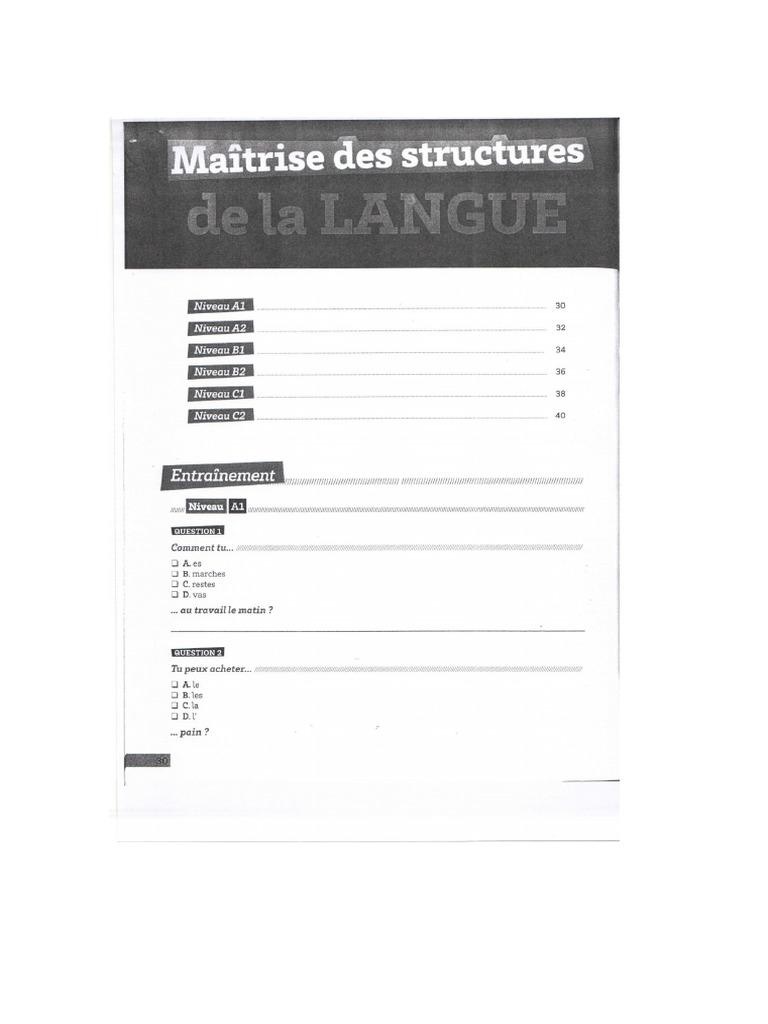Maîtrise Des Structures de La Langue | PDF