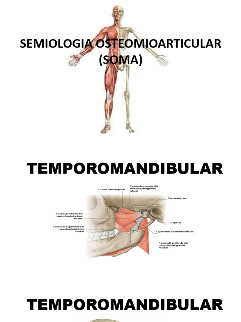 Soma | PDF | Hombro | Codo