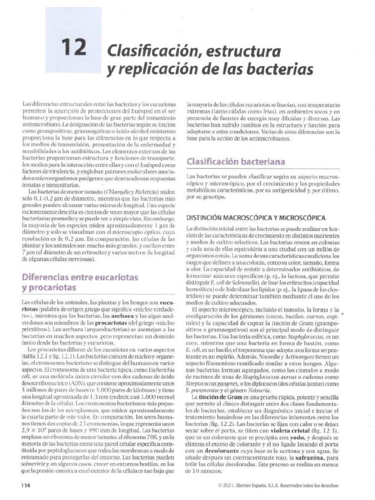Generalidades Bacterias Cap 12 y 13 Murray | PDF