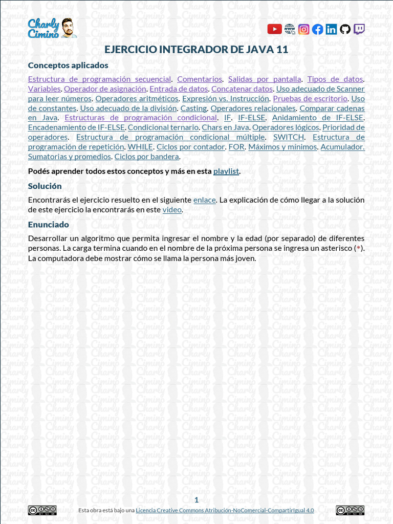 Ejercicio Integrador Java 11 | PDF