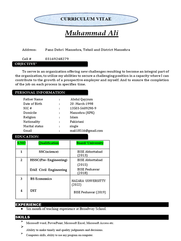 Ali Resume 1 | PDF