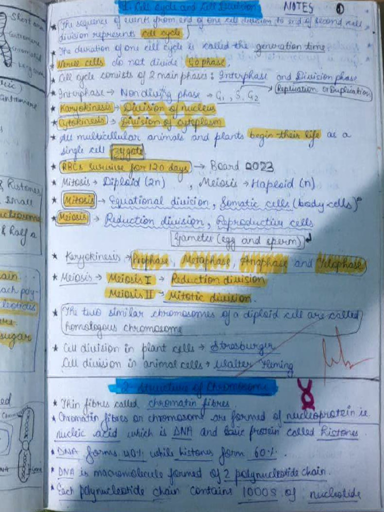 Biology Notes by Ayyappan | PDF | Biology | Life Sciences