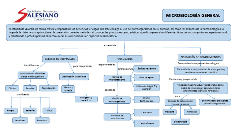 Mapa Micro | PDF | Microorganismo | Microbiología