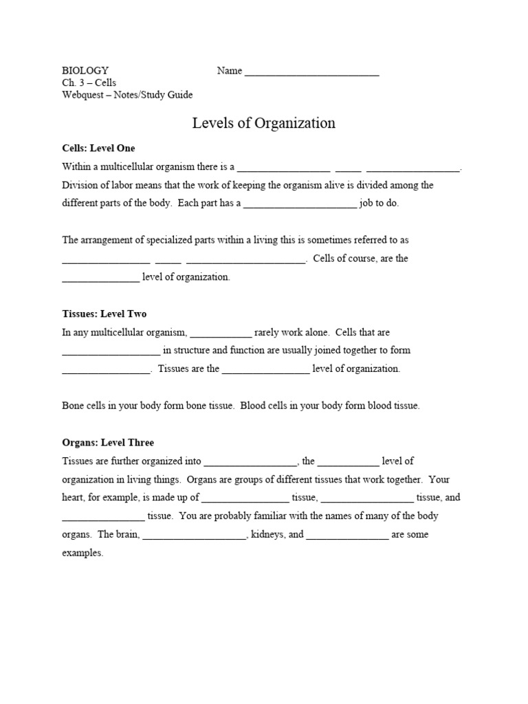 Levels of Organization | PDF | Tissue (Biology) | Cell (Biology)